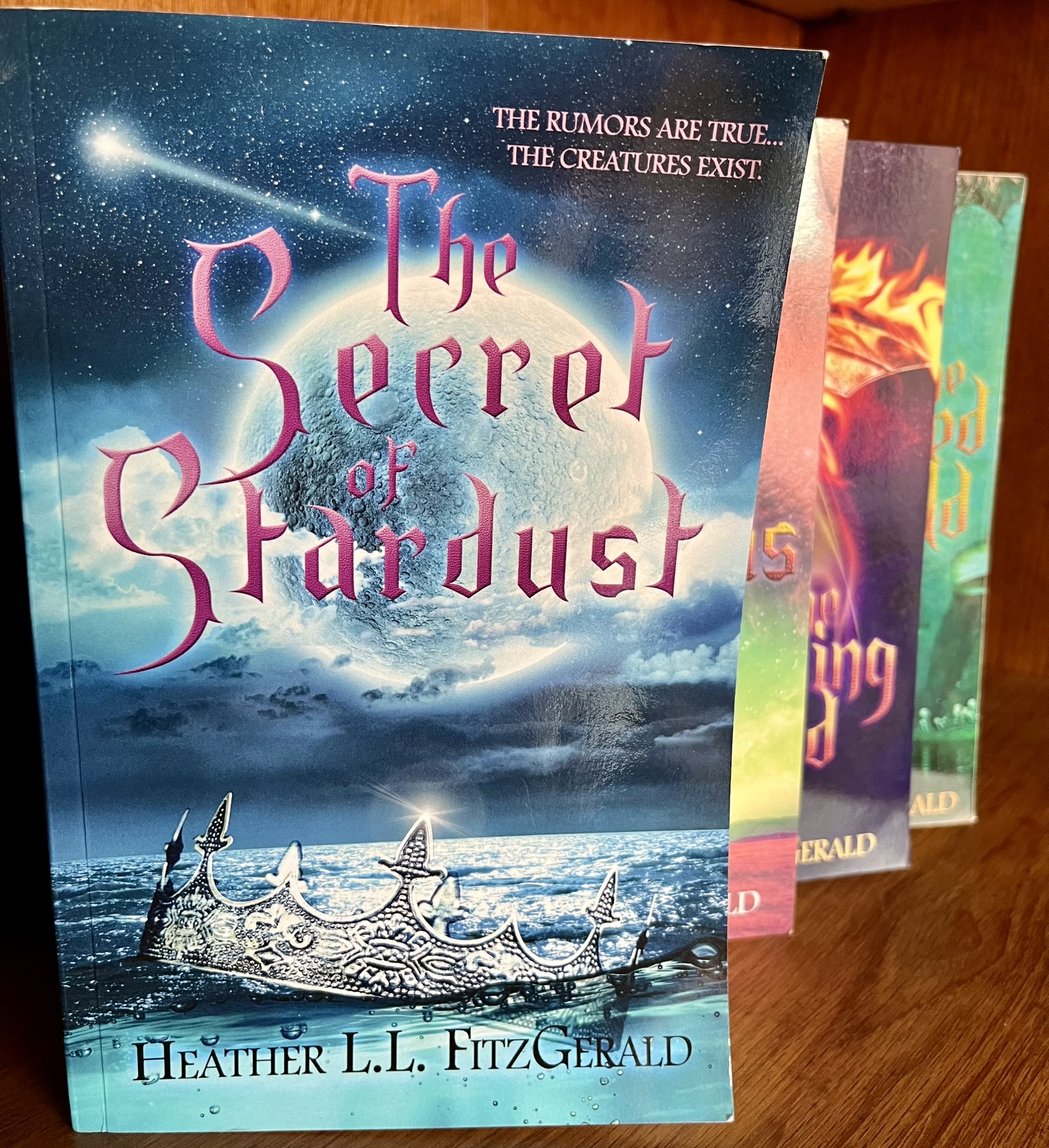 Book Review: The Secret of Stardust by Heather L.L. FitzGerald (The ...